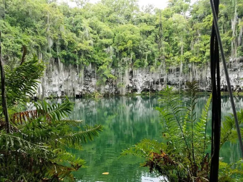 From Punta Cana: Santo Domingo Full-Day Tour with Lunch - What the Reviews Tell Us