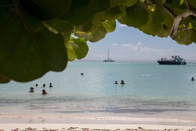 From Punta Cana: Saona Island & Altos de Chavon Day Trip with Lunch and Open Bar - Frequently Asked Questions