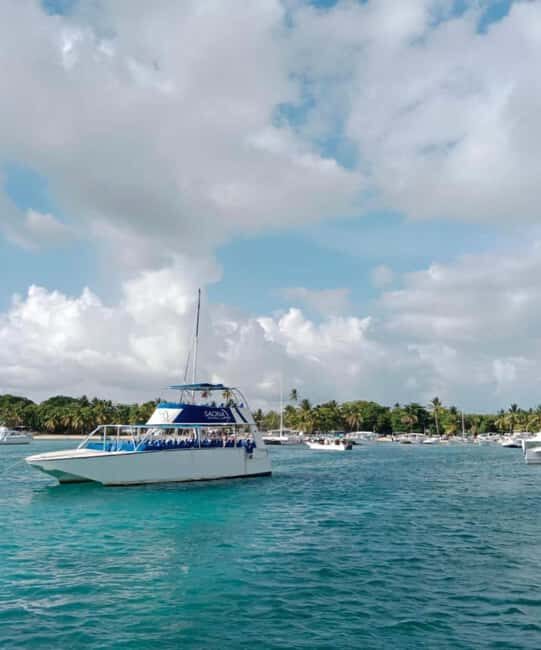 From Punta Cana: Saona Island Boat Trip with Buffet - Who Should Consider This Tour?