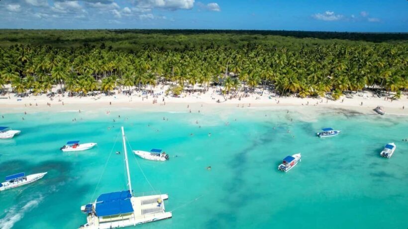 From Punta Cana: Saona Island Day Trip with Buffet Lunch - Price and Value