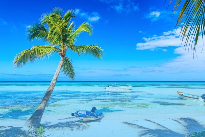 From Punta Cana: Saona Island Full Day For Small Group Catamaran - Final Thoughts