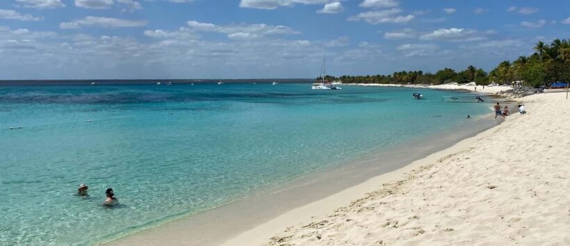 From Punta Cana: Saona Island Full-Day Tour with Lunch - An Overview of the Saona Island Full-Day Tour
