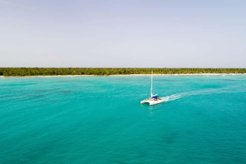 From Punta Cana: Saona Island Speedboat and Catamaran Tour - Key Points
