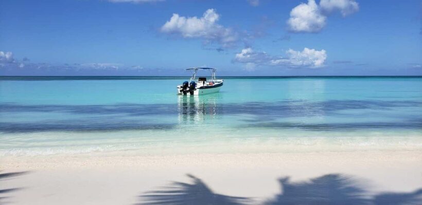 From Punta Cana: Saona Island Speedboat and Catamaran Tour - A Detailed Look at the Tour Experience