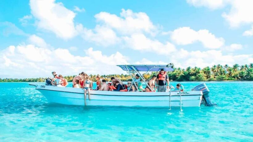 From Punta Cana: Saona Island Tour with BBQ Lunch - The Practicalities: Transportation, Group Size, and Price