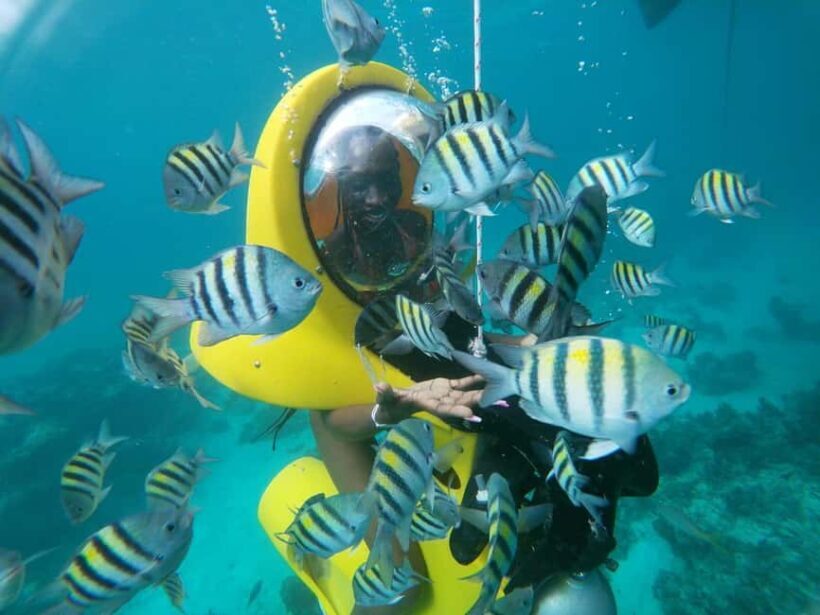 From Punta Cana: ScubaDoo, Snorkel & Glass Bottom Boat Tour - An In-Depth Look at the Tour Experience