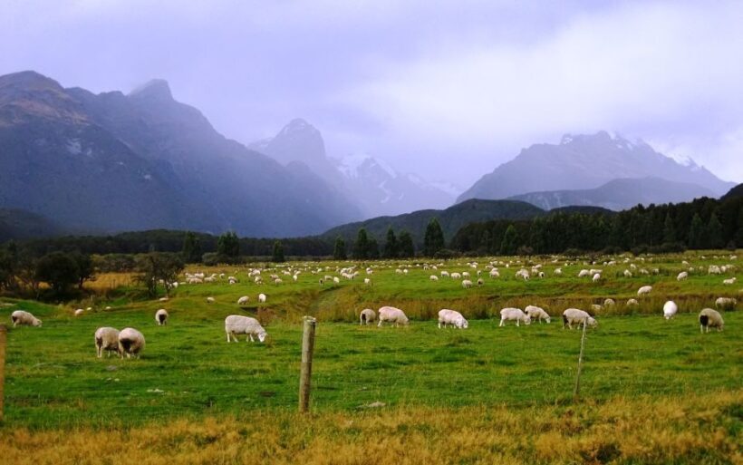 From Queenstown: Lord Of The Rings Tour to Glenorchy - Exploring the Itinerary in Detail