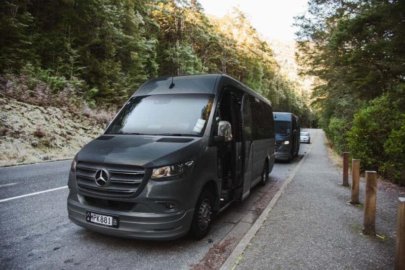 From Queenstown: Milford Sound Business Class with Cruise - The Cruise Experience: Luxury Meets Nature