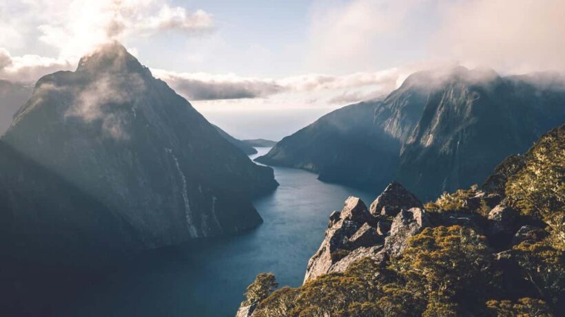 From Queenstown: Milford Sound Business Class with Cruise - The Bottom Line