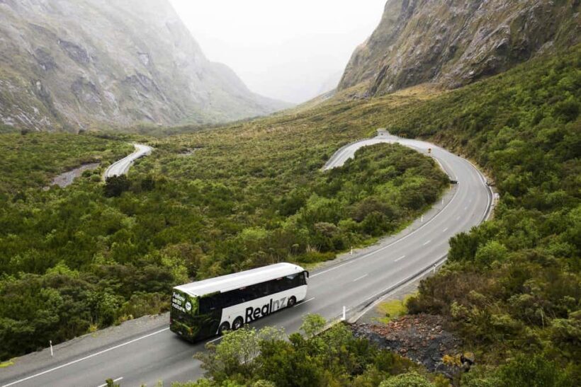 From Queenstown: Milford Sound Cruise and Coach Day Trip - An In-Depth Look at the Milford Sound Day Trip