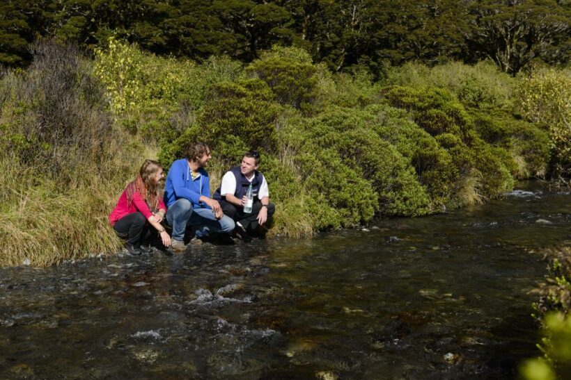 From Queenstown: Milford Sound Cruise & Scenic Coach Tour - A Deep Dive into the Experience