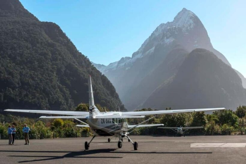 From Queenstown: Milford Sound Flight and Nature Cruise - Wildlife and Nature Encounters