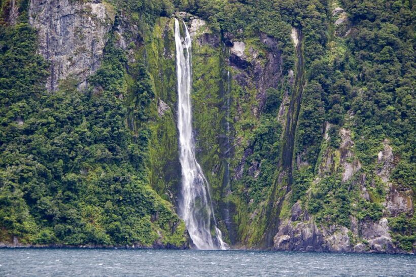 From Queenstown: Milford Sound Full-Day Trip by Plane & Boat - Authentic Experiences & Traveler Feedback
