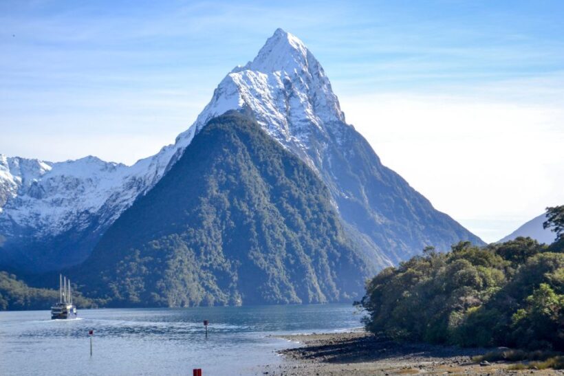 From Queenstown: Milford Sound Premium Day Tour and Cruise - The Itinerary: What You Can Expect