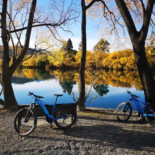 From Queenstown: 'Valley of the Vines' Wine and Bike Tour - Key Points
