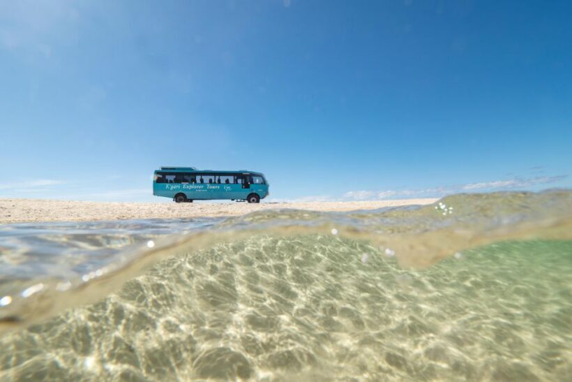 From Rainbow Beach: K'gari Fraser Island Full-Day Coach Tour - FAQ