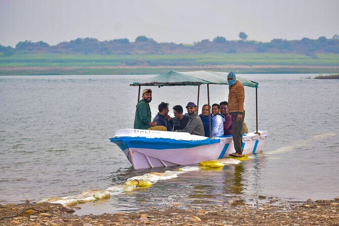 From Ranthambore:National Chambal Alligator Private Trip All Incl - Cost and Value for Money