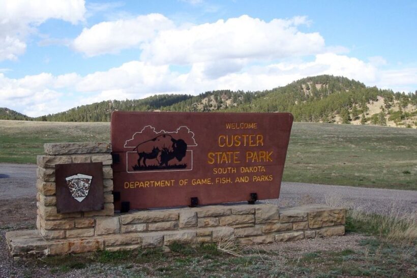 From Rapid City: Custer State Park Private Safari and Hiking - Exploring Custer State Park: The Heart of the Tour