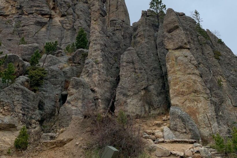 From Rapid City: Custer State Park Private Safari and Hiking - Lunch at Custer State Game Lodge