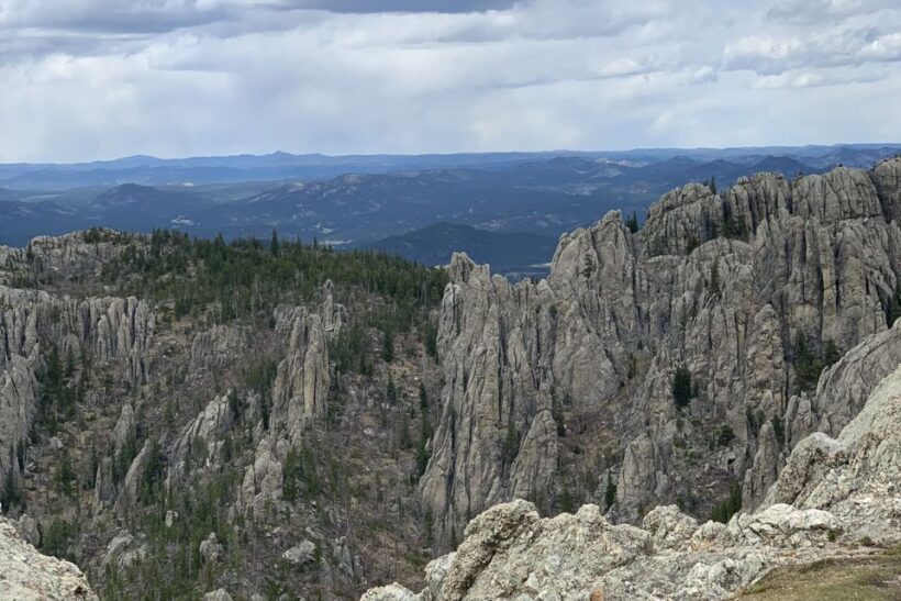 From Rapid City: Custer State Park Private Safari and Hiking - What’s Included and What You Should Know