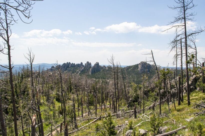 From Rapid City: Custer State Park Private Safari and Hiking - FAQ