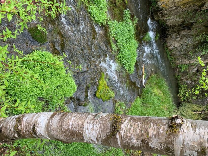 From Rapid City: Private Spearfish Canyon Tour - Lunch and Amenities