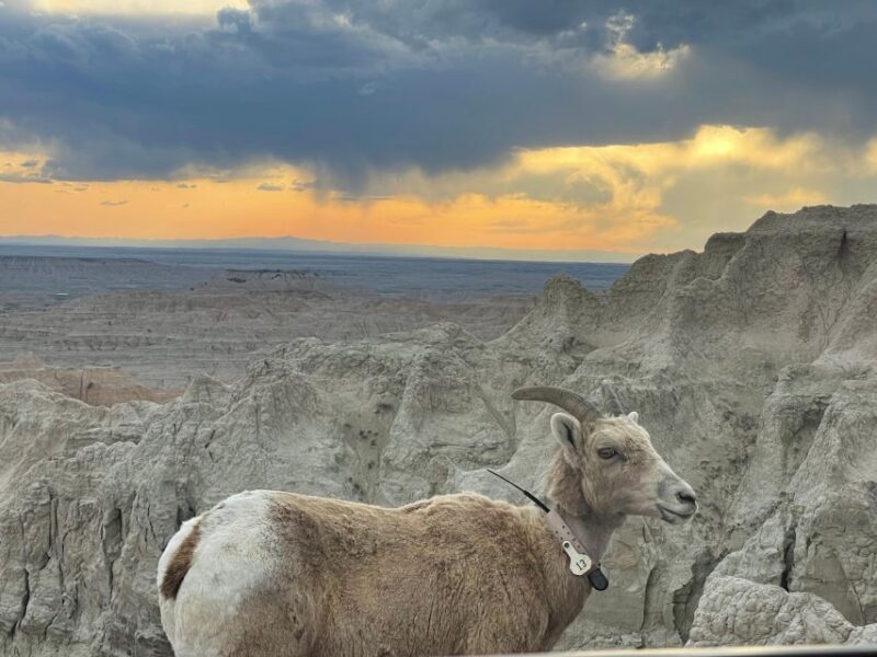 From Rapid City: Sunset, Stars and Silhouettes - Detailed Breakdown of the Itinerary