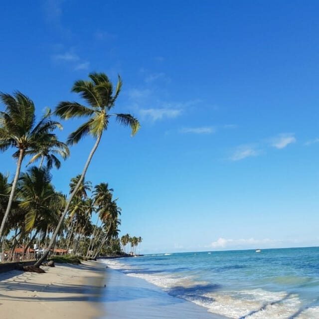 From Recife : Carneiros Beach - An In-Depth Look at the Carneiros Beach Tour