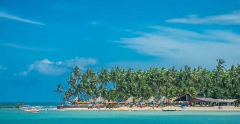 From Recife : Carneiros Beach - Who Will Enjoy This Tour Most?