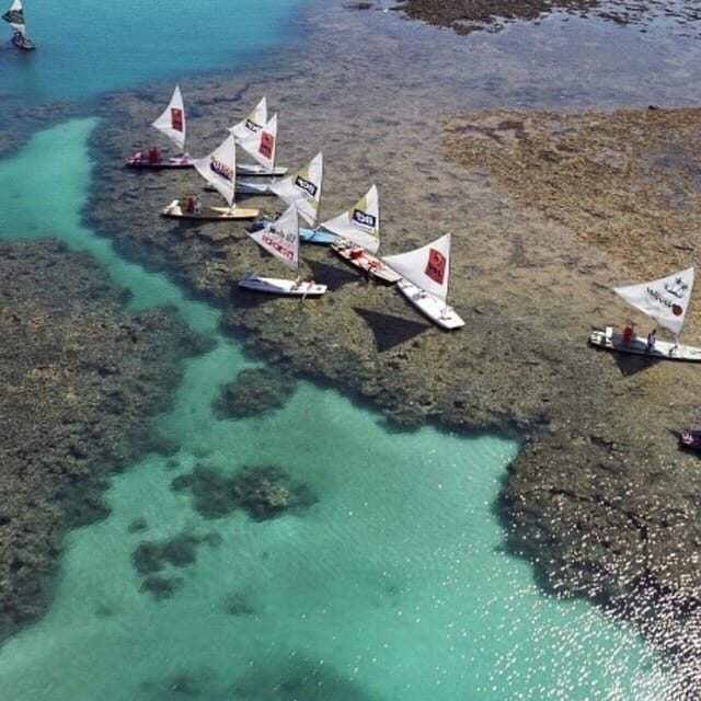 From Recife : Tour for Porto de Galinhas - Introduction: Exploring Porto de Galinhas from Recife