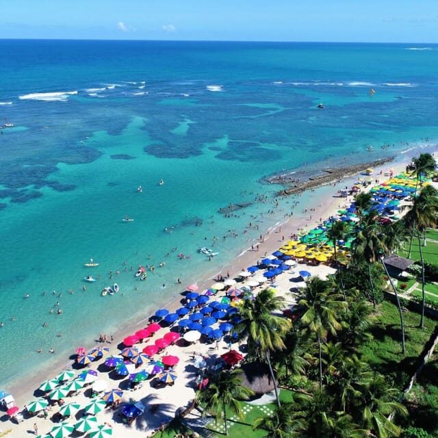 From Recife : Tour for Porto de Galinhas - Key Points