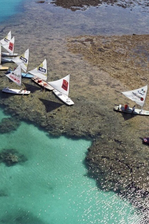 From Recife : Tour for Porto de Galinhas - What to Expect During the Tour