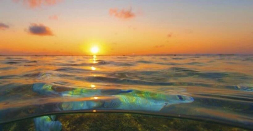 From Recife : Tour for Porto de Galinhas - Who Would Enjoy This Tour?