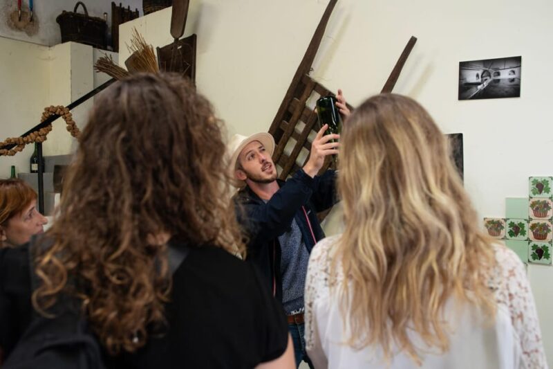 From Reims: Champagne Afternoon E-Bike Tour - Final Thoughts