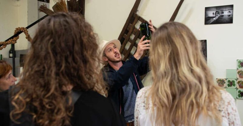 From Reims: Champagne and Family-Run Wineries Tour - A Closer Look at the Reims Champagne and Family-Run Wineries Tour