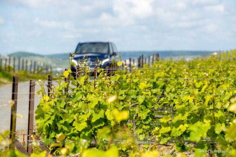 From Reims: Champagne and Family-Run Wineries Tour - Analyzing the Value for Money