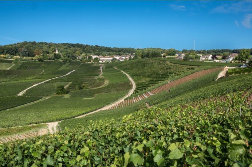 From Reims: Champagne Day Trip to Two Local Domains & Lunch - Tasting Experience and the Value of Authenticity