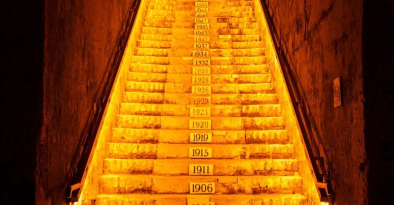 From Reims: Day Trip to Veuve Clicquot Family Grower & Lunch - Who Will Love This Tour?