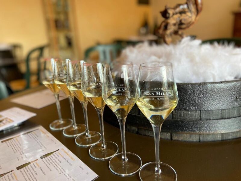 From Reims/Epernay: Private Gold Champagne Tasting Tour - Is This Tour Worth the Price?