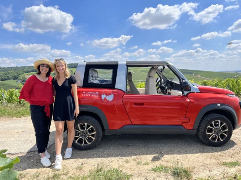 From Reims/Epernay: Private Gold Champagne Tasting Tour - Who This Tour Is Best For