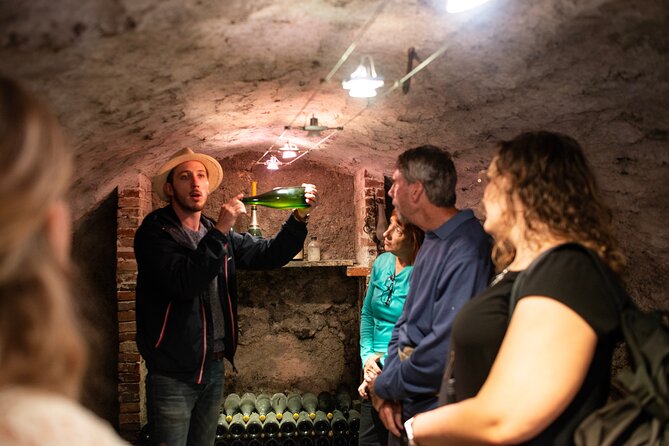 From Reims Full Day Electric Bike Champagne and Lunch - Champagne Estate Visit and Tasting