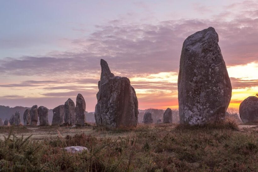 From Rennes: Brocéliande and Carnac Day Trip - Key Features and Practical Details