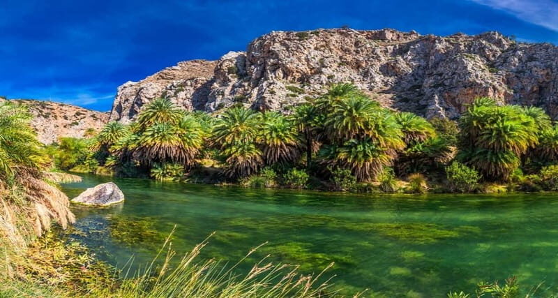 From Rethymno/Chania: Day Trip to Preveli Palm Beach - Key Points
