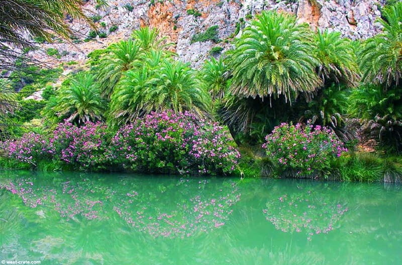 From Rethymno/Chania: Day Trip to Preveli Palm Beach - FAQs