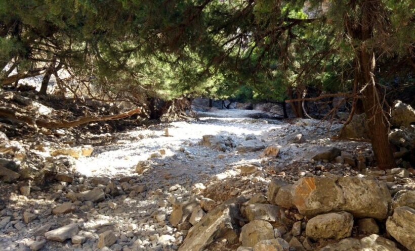From Rethymno/Chania: Imbros Gorge Hike - Logistics and Practicalities