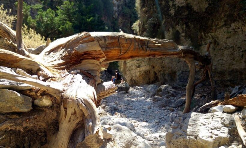 From Rethymno/Chania: Imbros Gorge Hike - Final thoughts