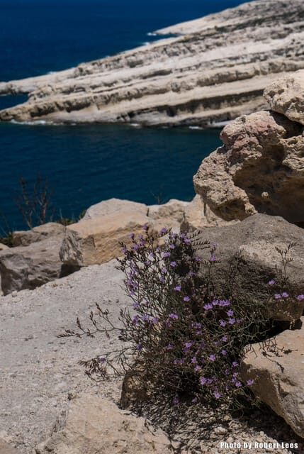 From Rethymno: Day trip to MATALA - AG.GALINI - SPILI - Key Points
