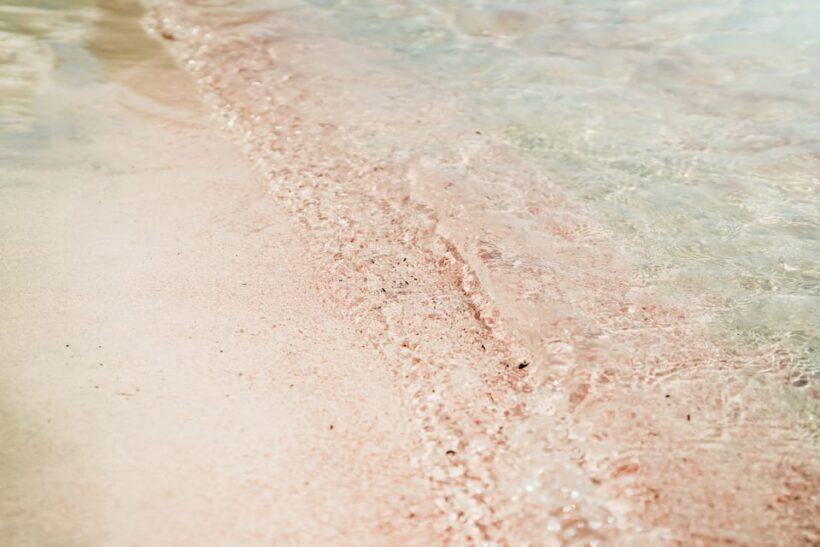 From Rethymno: Elafonissi Pink Sand Beach Tour PRIVATE - Key Points