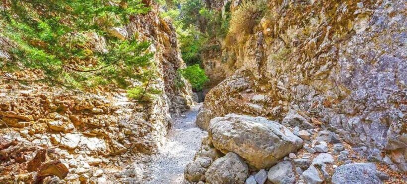 From Rethymno: Imbros Gorge & Libyan Guided Sea Tour - What’s Included and What’s Not