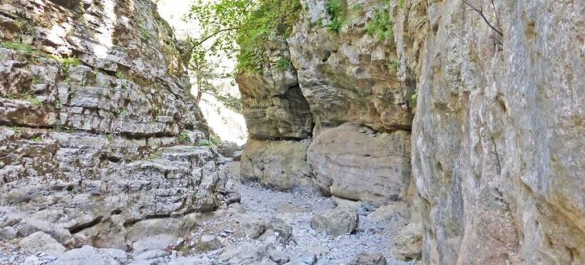 From Rethymno: Imbros Gorge & Libyan Guided Sea Tour - Final Thoughts: Who Will Love This Tour?